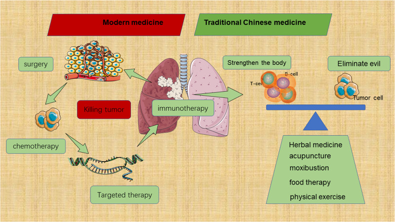 Traditional Chinese Medicine for Lungs: A Holistic Approach to ...